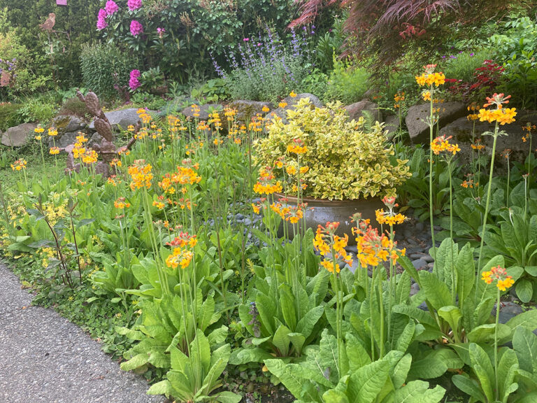 Cleo’s Spring Garden in Washington - Fine Gardening