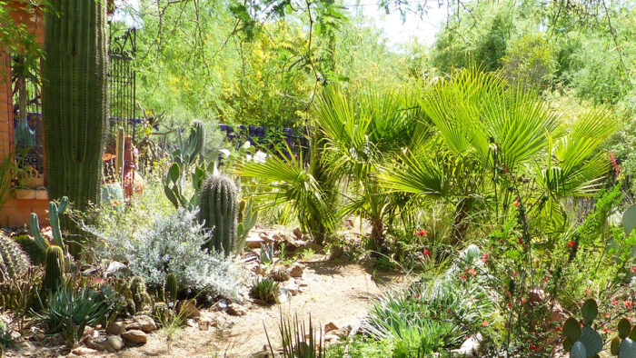 Gardening In The Southwest