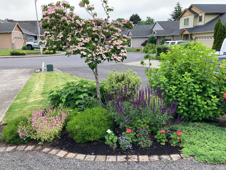 Cathy Adjusts to a New Garden in Oregon - Fine Gardening