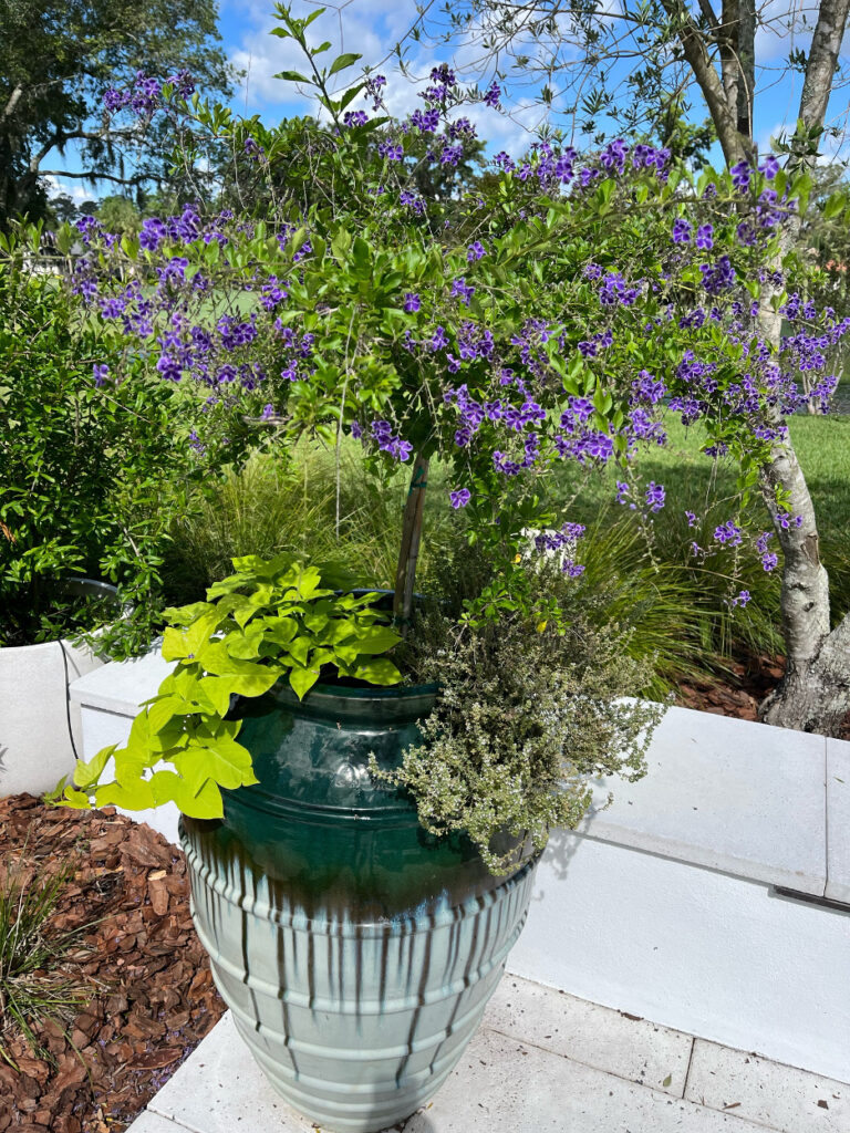 Ponte Vedra Beach Garden Tour: Anne's Abundant Kitchen Garden - Fine ...