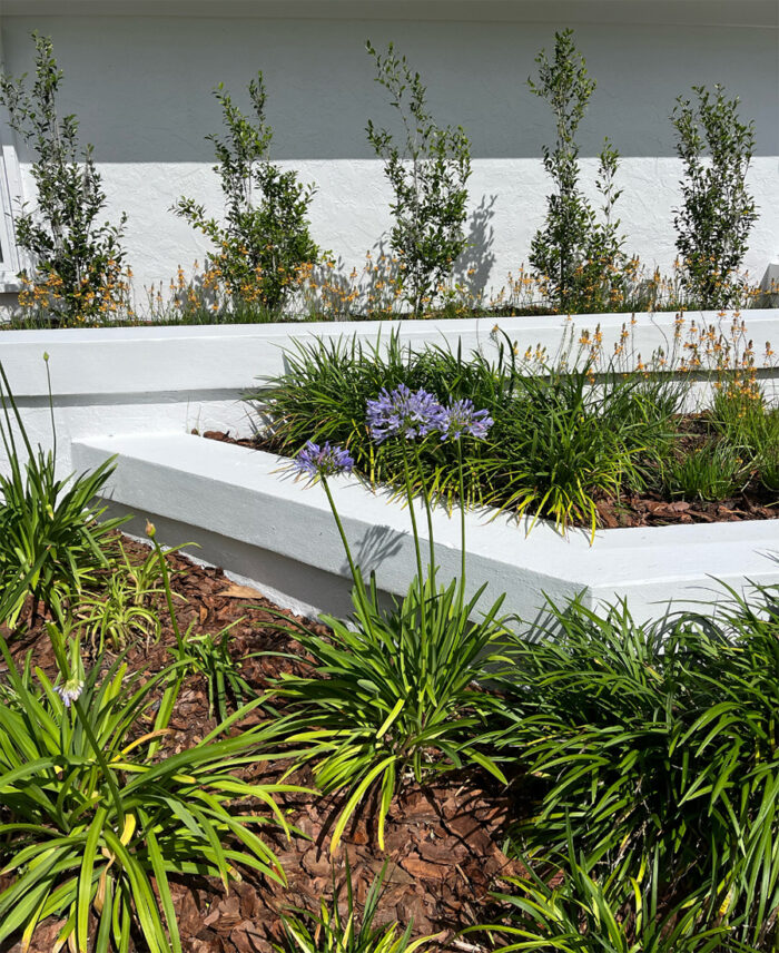 Ponte Vedra Beach Garden Tour: Anne's Abundant Kitchen Garden - Fine ...