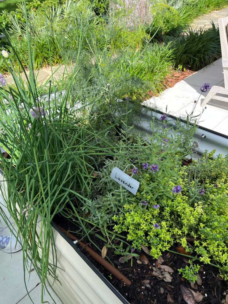 Ponte Vedra Beach Garden Tour: Anne's Abundant Kitchen Garden - Fine ...