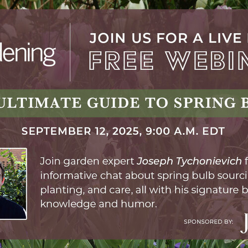 Spring Bulbs Q&A–Webinar with Joseph Tychonievich - Fine Gardening