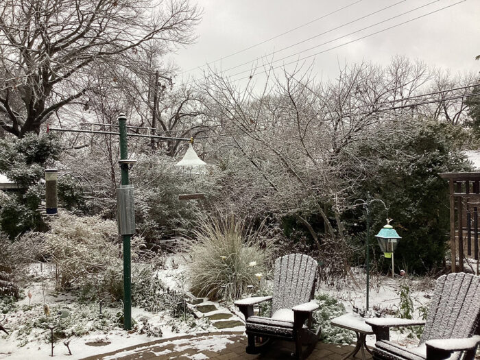 Sharon's Wildlife-Friendly Backyard Garden in Dallas - Fine Gardening