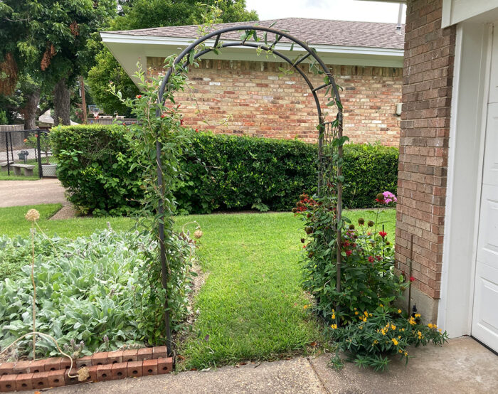 Sharon's Wildlife-Friendly Backyard Garden in Dallas - Fine Gardening