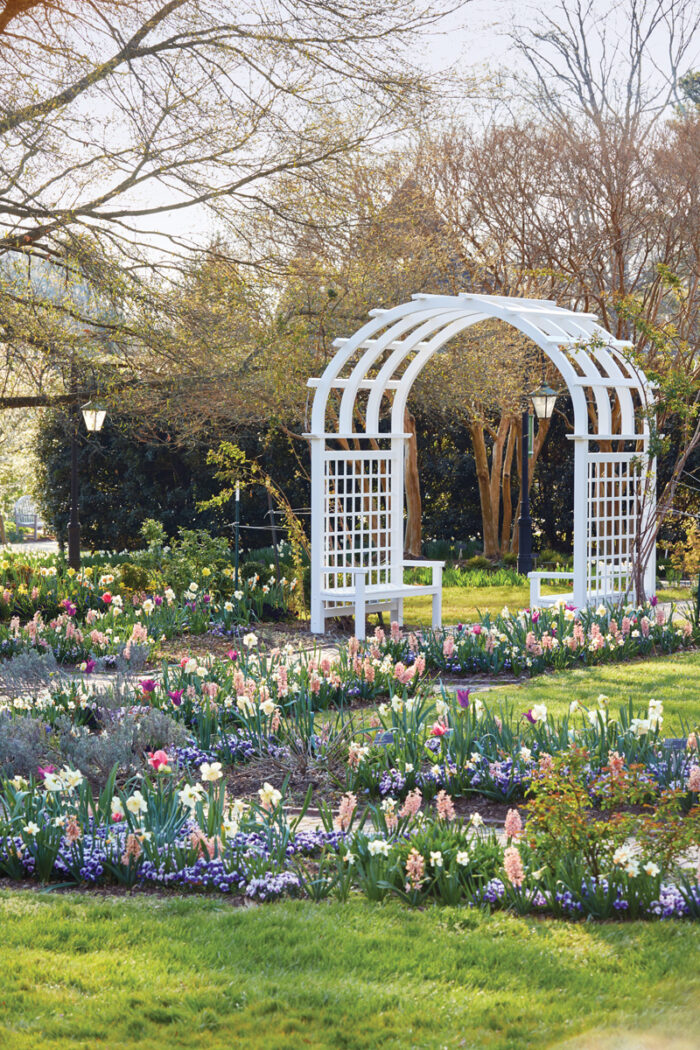 Spring Bulb Guide: Best Types to Plant and Garden Planning Tips - Fine ...