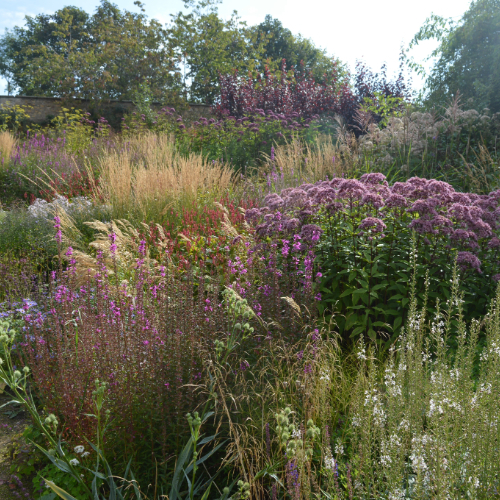 Fine Gardening - Expert garden plant advice, tips, and ideas from Fine ...