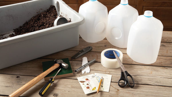 12 Types of Critters You Find in Your Compost and How They Help - Fine ...