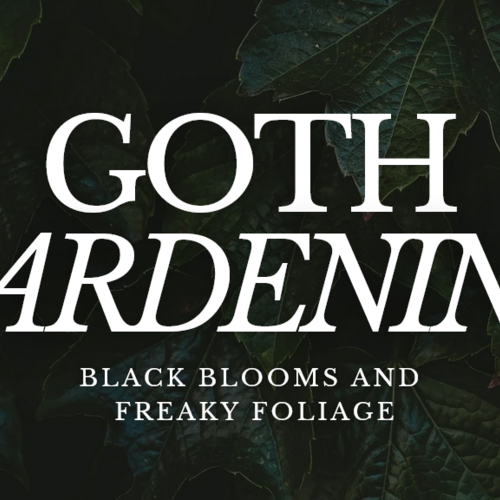 Goth Gardening: Building the Garden of Your Dreams, or Nightmares ...