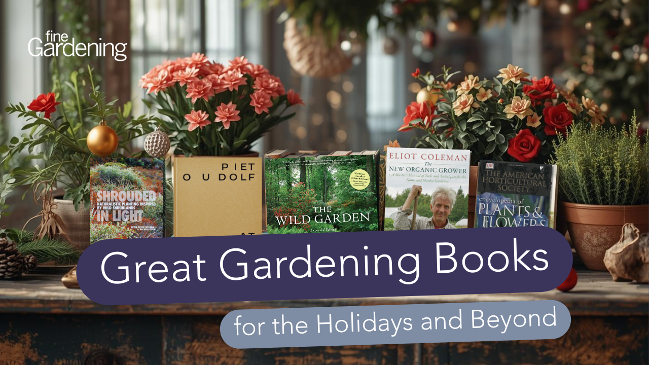 Marie Clark Taylor and the Wonder of "Aliveness!" - Fine Gardening