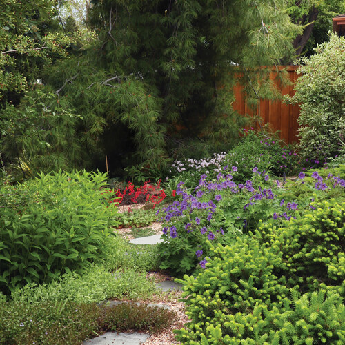Fine Gardening - Issue 226 - Fine Gardening