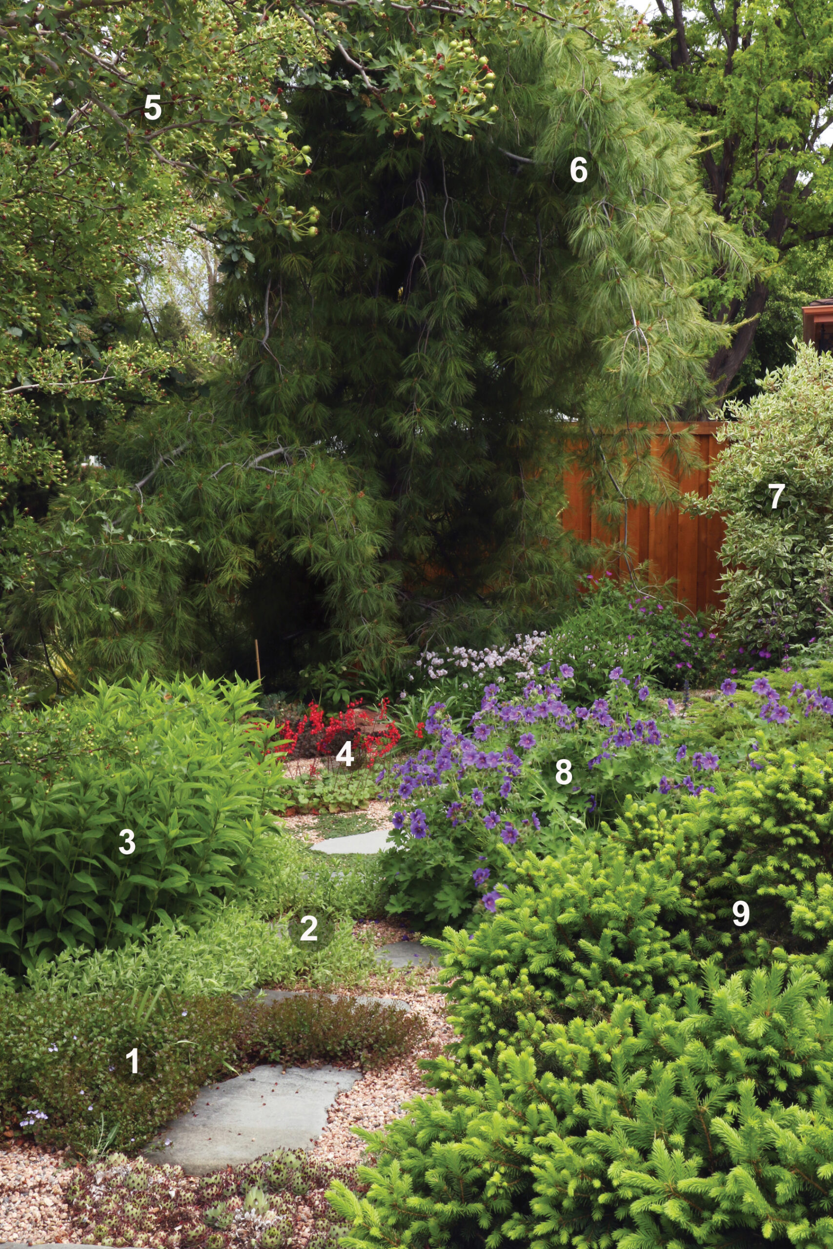 5 Water-Wise Planting Plans - Fine Gardening