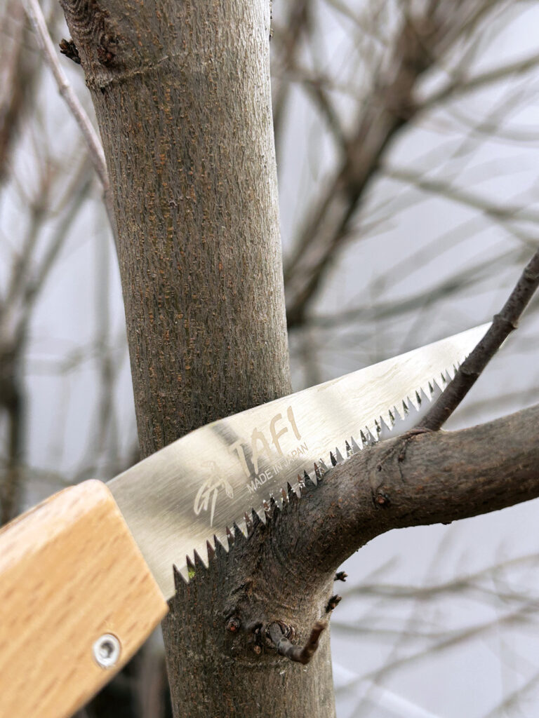 Pruning Saws That Make Maintenance Easier - Fine Gardening