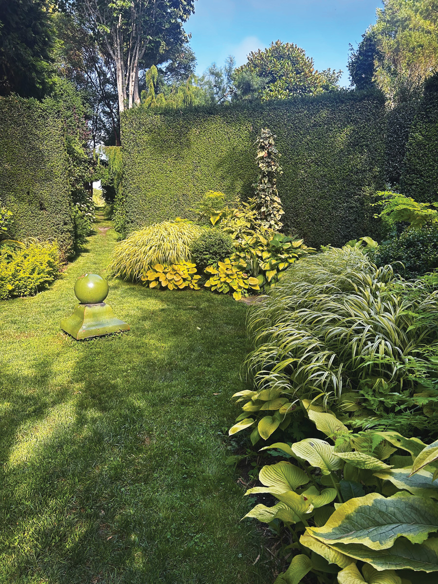The Essential Guide to Growing Hedges - Fine Gardening