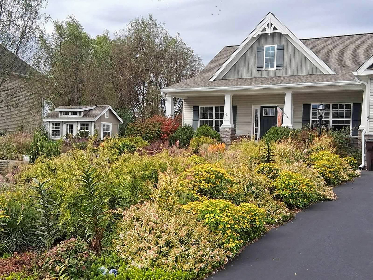 Marty's 2025 Garden Highlights, Part 2 - Fine Gardening