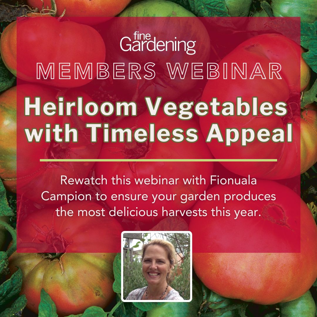 Heirloom Vegetables with Timeless Appeal – Webinar with Fionuala ...