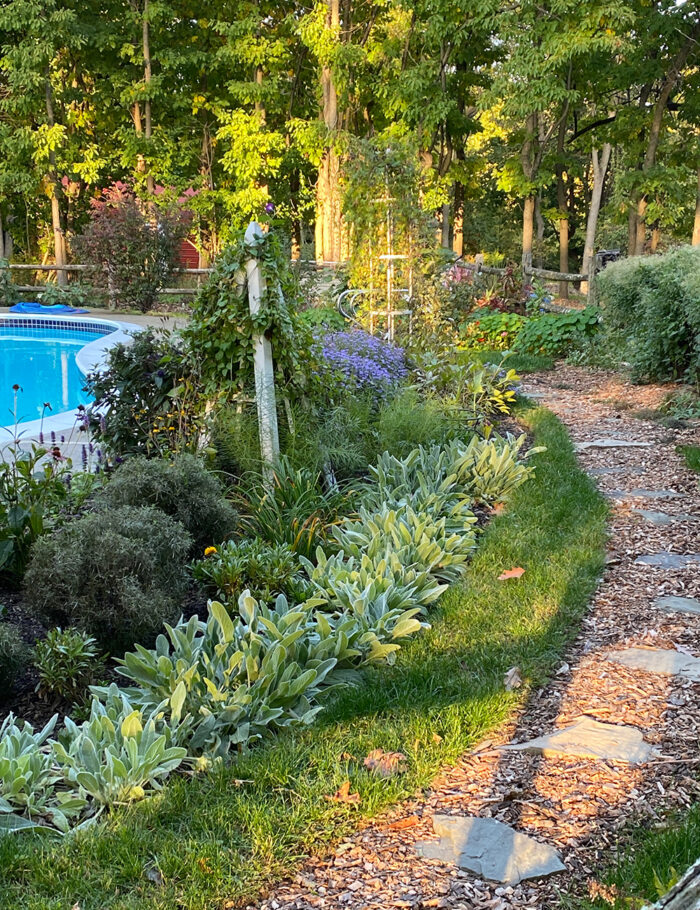 Carla's Deer-Resistant Garden in Pennsylvania - Fine Gardening
