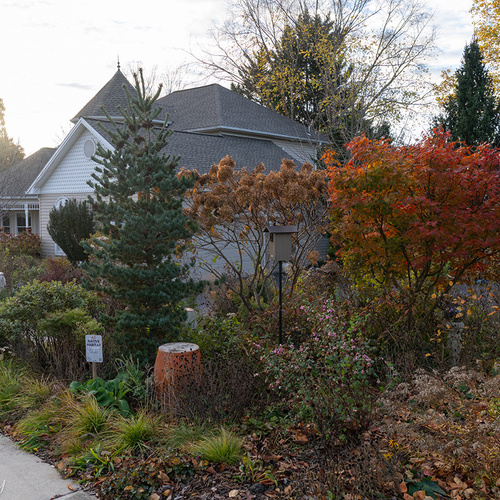 Kevin's Pennsylvania Garden in 2025 - Fine Gardening