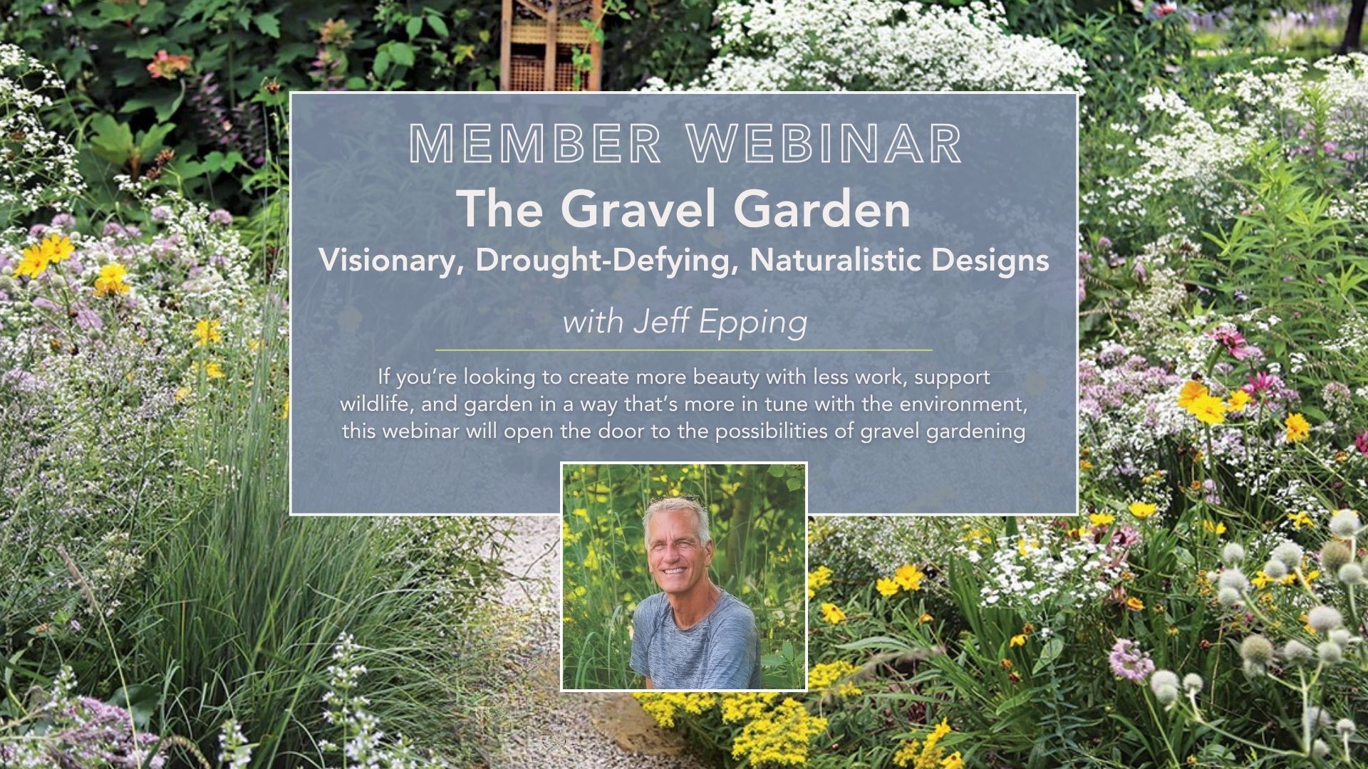20 Unique Hedging Plants: Small, Medium, and Large Options - Fine Gardening