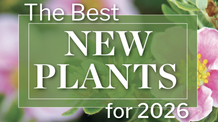 The Best New Plants for 2026 - Fine Gardening