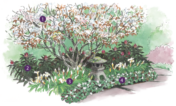 Expert Spring Garden Layout for the Pacific Northwest - Fine Gardening