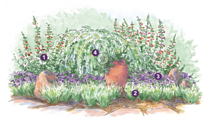 Expert Spring Garden Layout for the Southwest - Fine Gardening