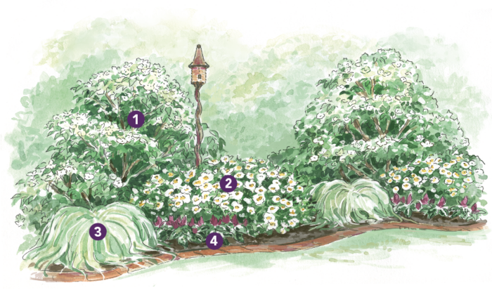 Expert Spring Garden Layout for the Southeast - Fine Gardening