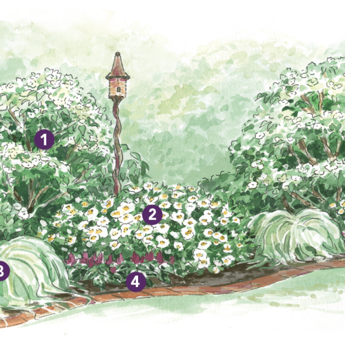 Expert Spring Garden Layout for the Southeast - Fine Gardening