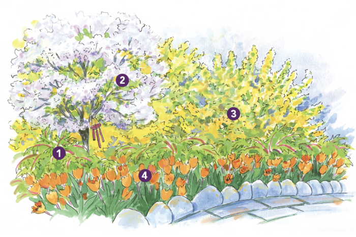 Expert Spring Garden Layout for the Mountain West - Fine Gardening