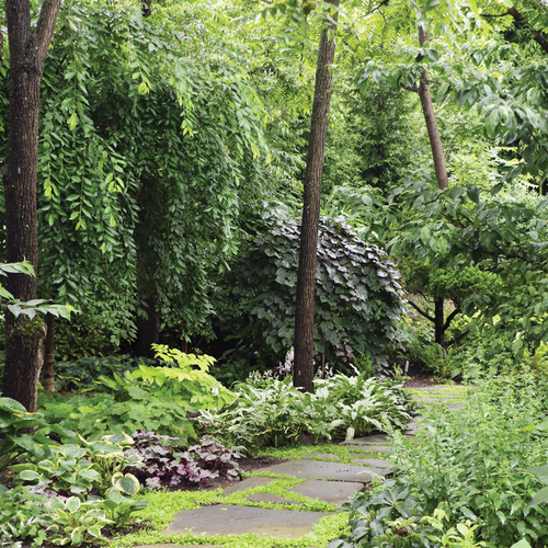 Woodland Garden Secrets: How to Design a Lush, Peaceful Shade Retreat ...