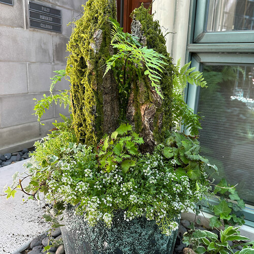 Howard's Spring Containers in Chicago - Fine Gardening