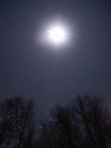 Winter Solstice - Full Cold Moon - Lunar Eclipse! - Fine Gardening