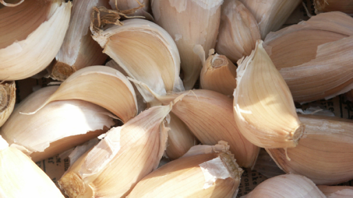 Garlic Bulb Types - Fine Gardening