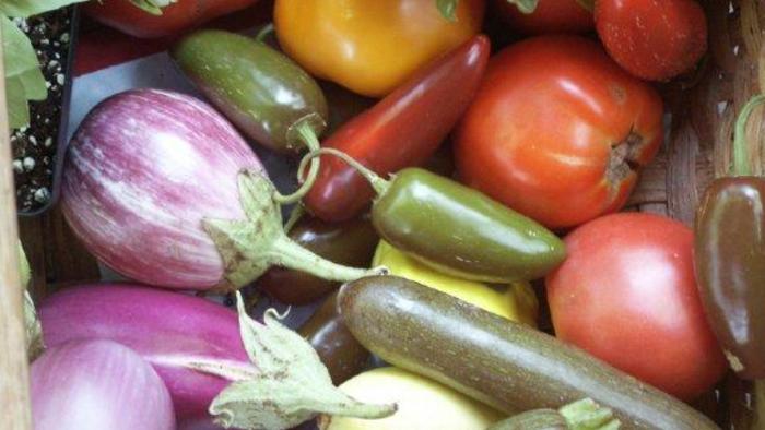 Visiting Gardens in the Summertime - Fine Gardening